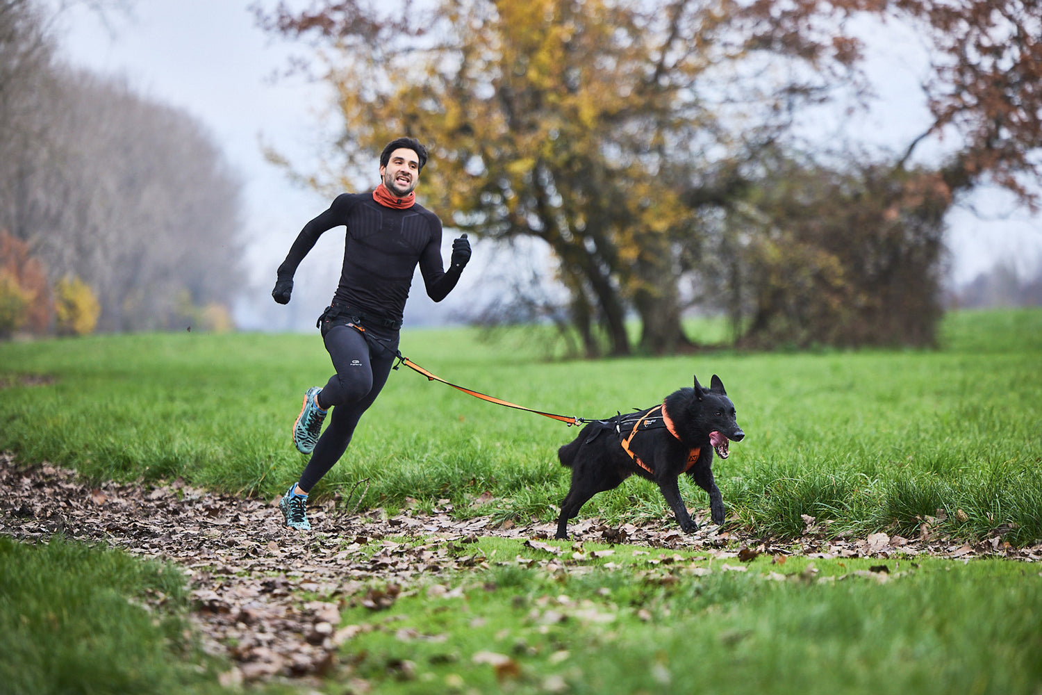 Canicross Couch to 5K training program - Week 7 – Non-stop dogwear