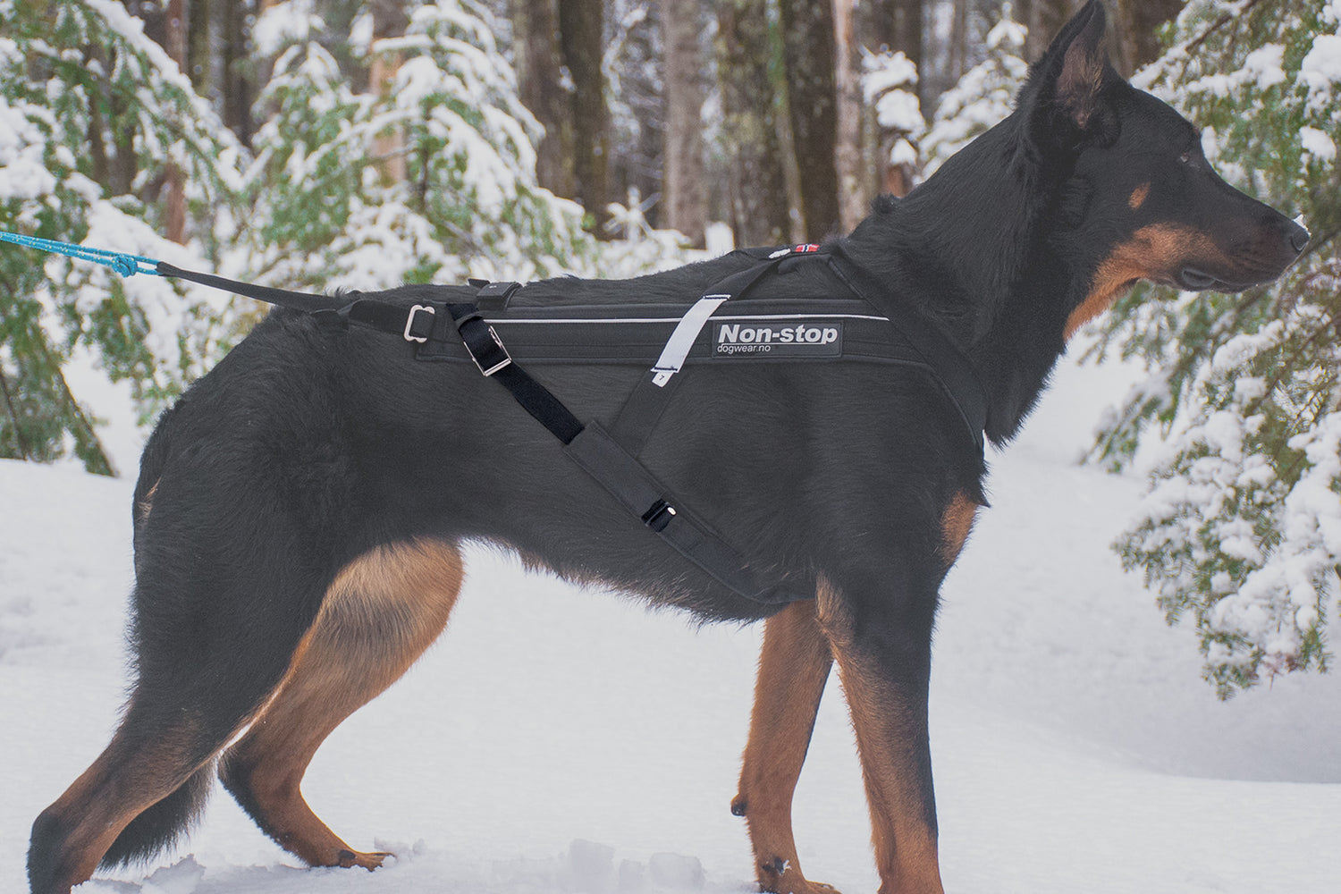 How do I change the harness side straps? – Non-stop dogwear