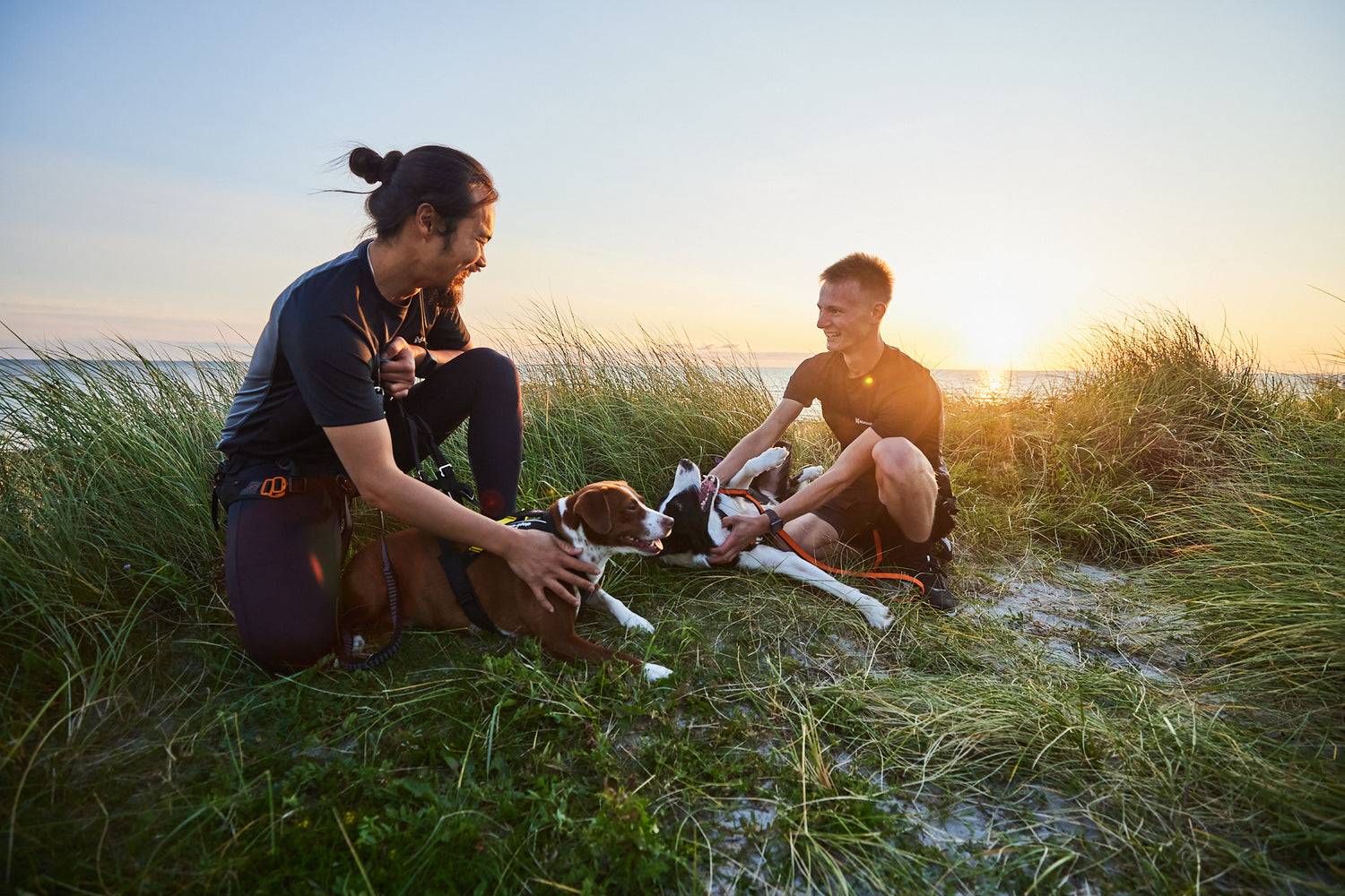 Canicross Couch to 5K training program - Week 6 – Non-stop dogwear