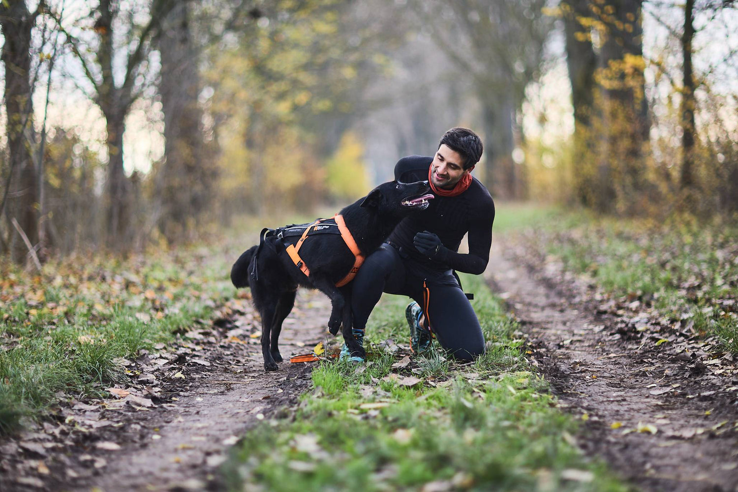 Canicross Couch to 5K training program - Week 4 – Non-stop dogwear