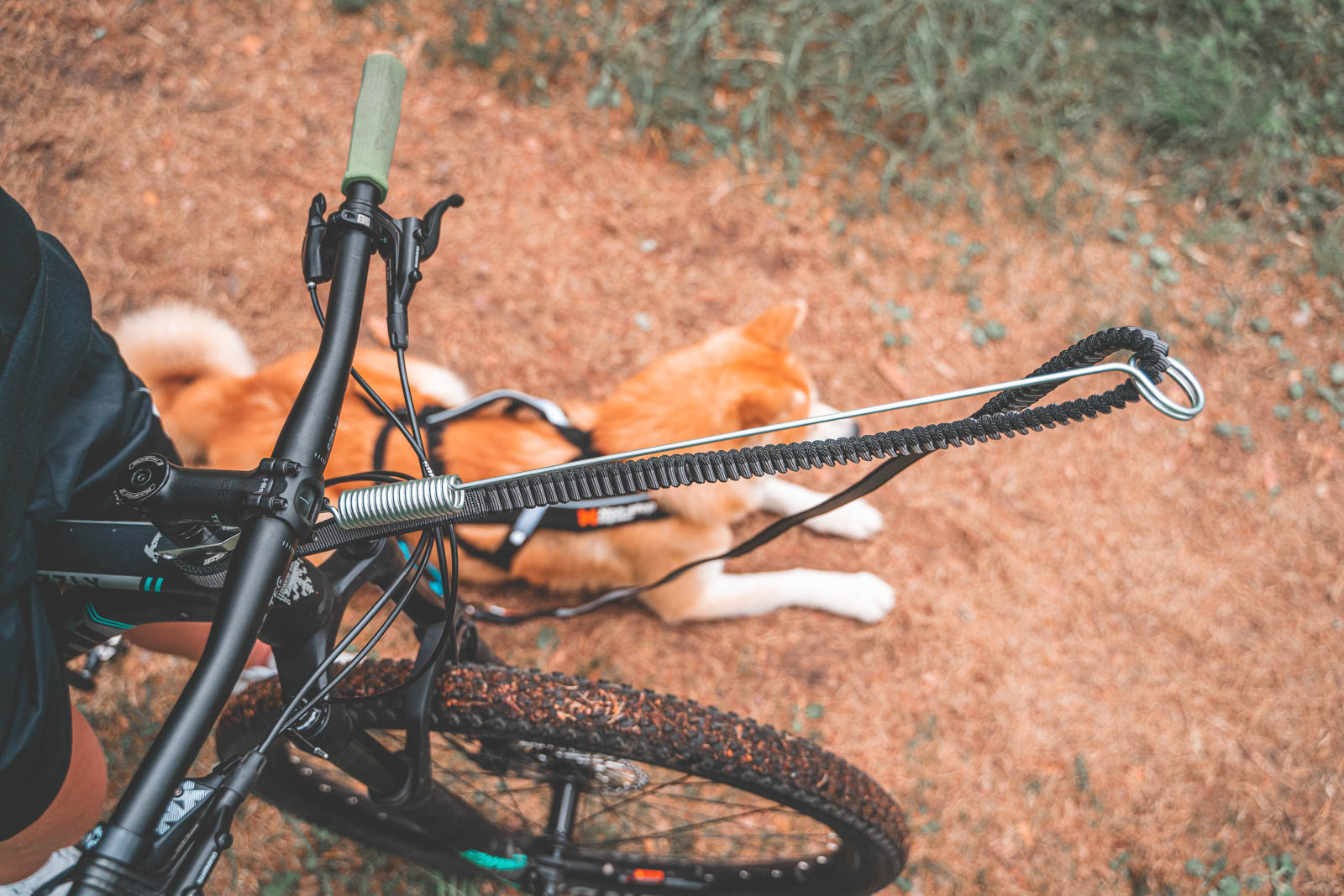 Bike antenna parts – Non-stop dogwear