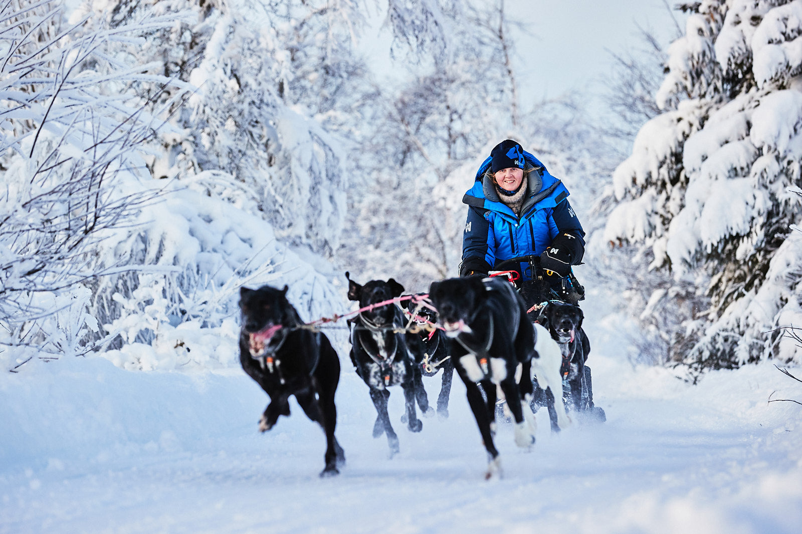 Mittens | Dog musher mittens – Non-stop dogwear