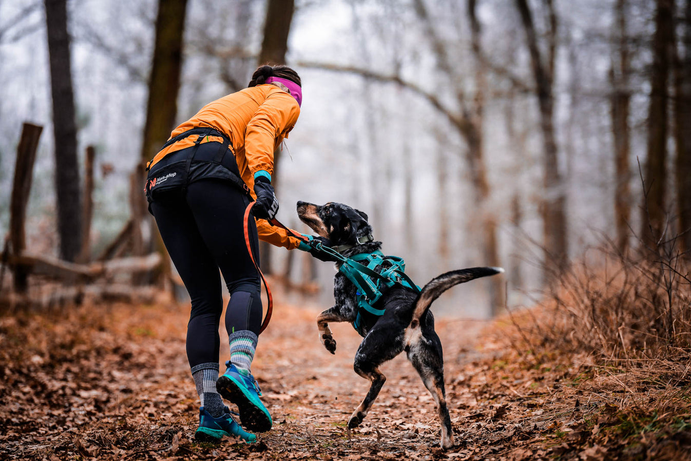 Belt for running with dogs | CaniX belt 2.0 – Non-stop dogwear