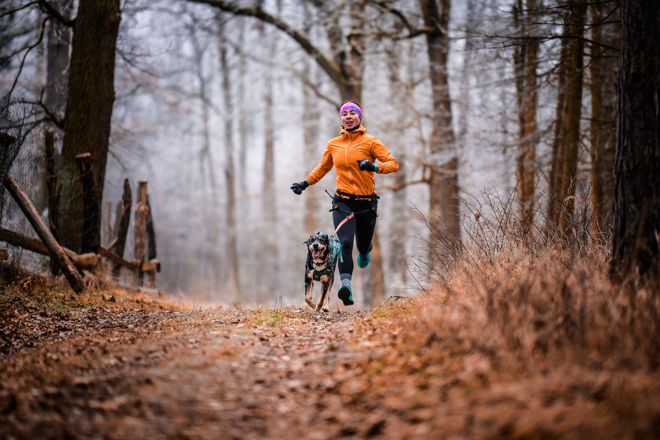 Belt for running with dogs | CaniX belt 2.0 – Non-stop dogwear