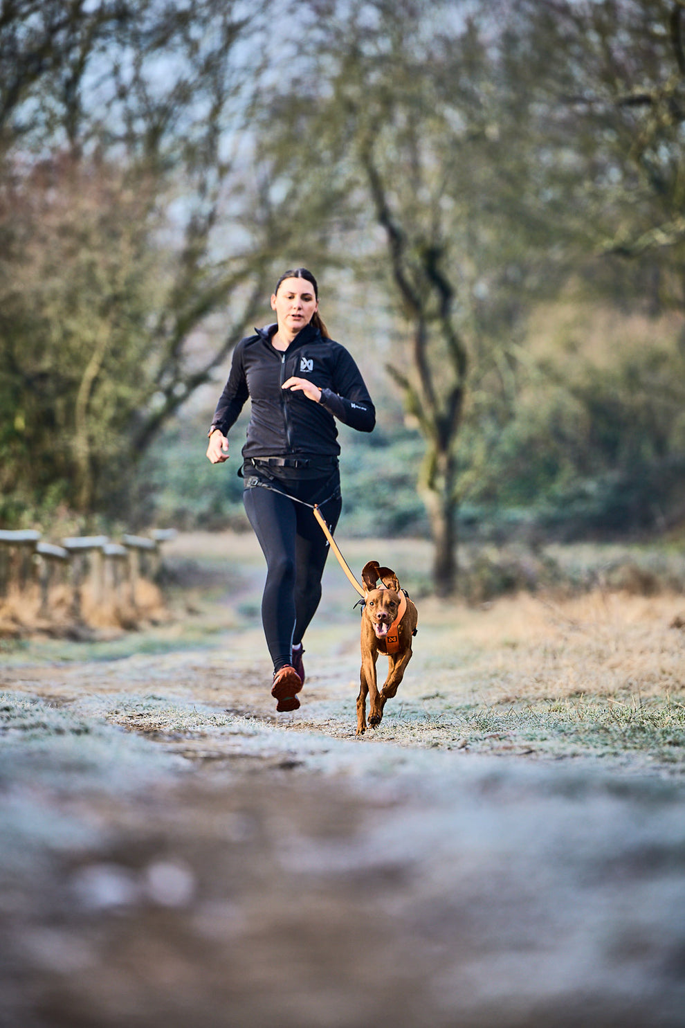 Belt for running with dogs | CaniX belt 2.0 – Non-stop dogwear