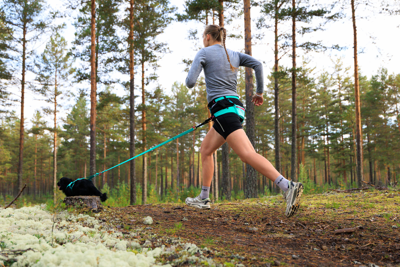 Belt for running with dogs | CaniX belt 2.0 – Non-stop dogwear