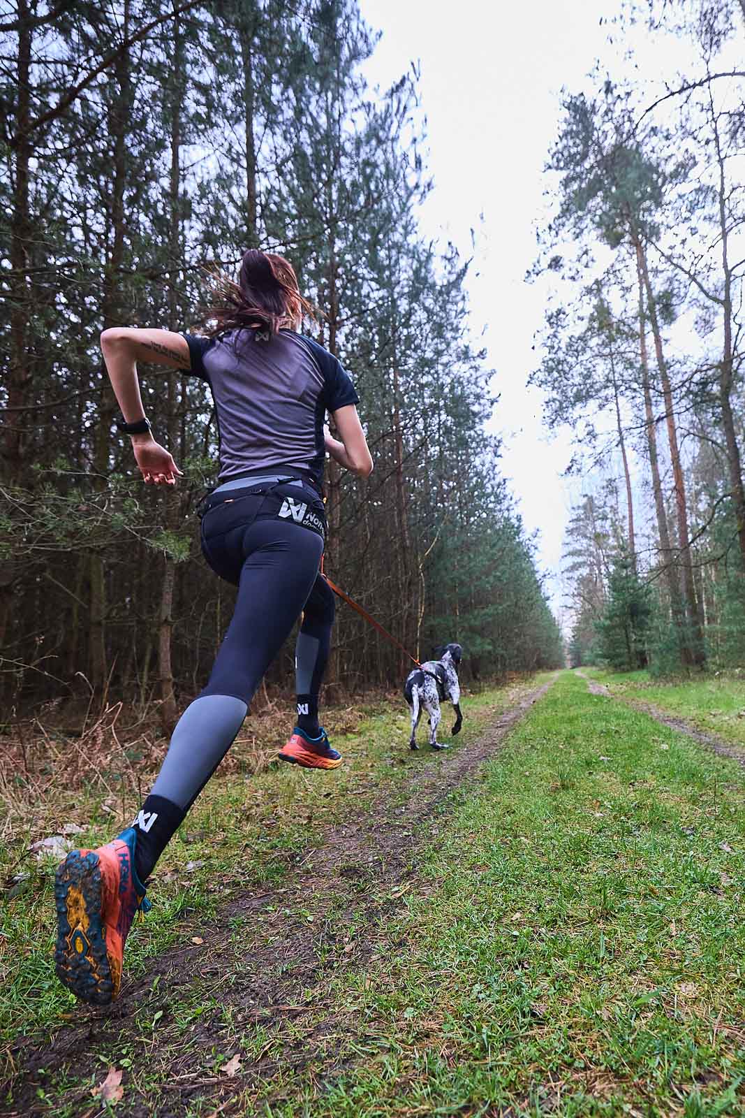 Canicross bälte | CaniX belt pro – Non-stop dogwear