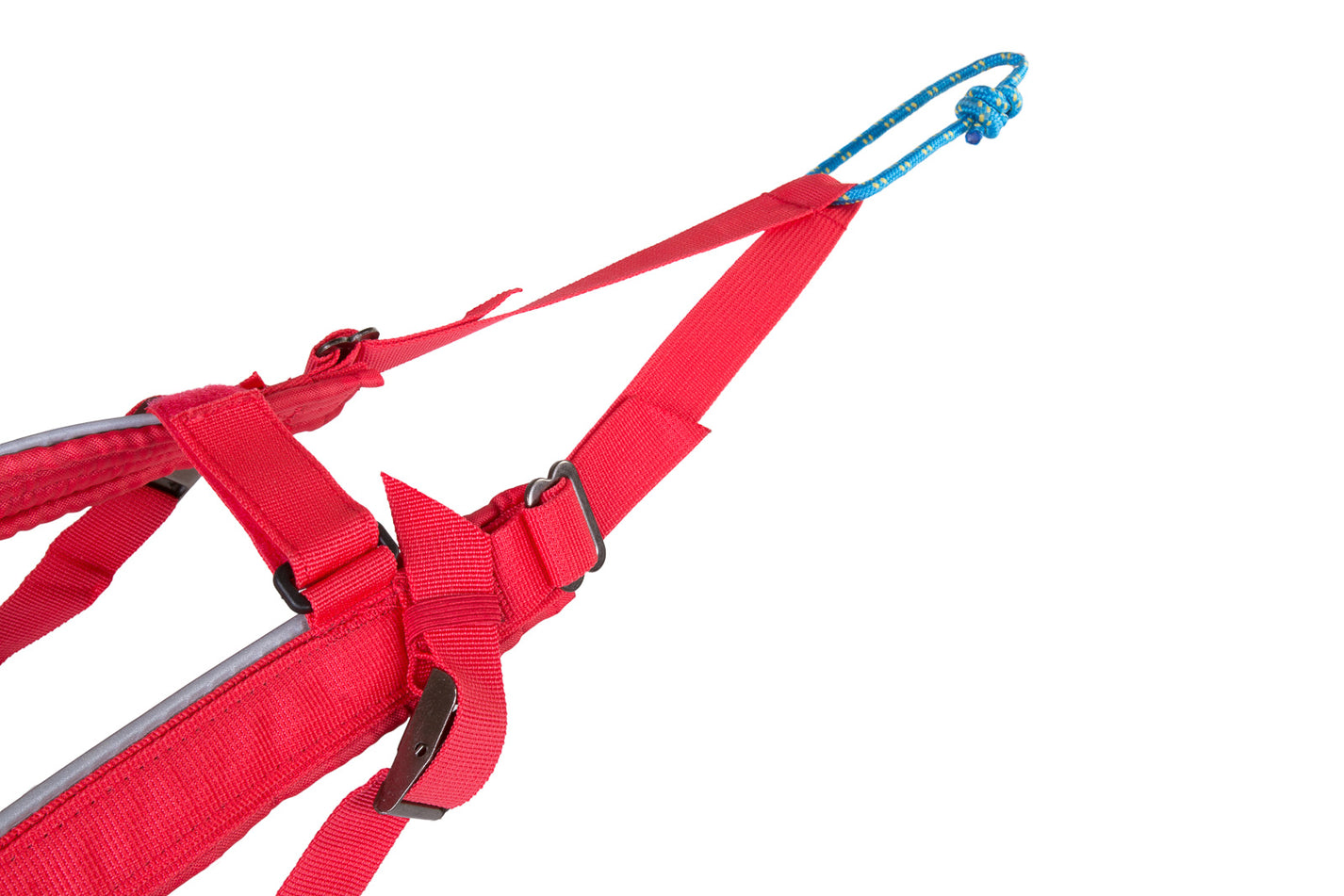 Skijoring and pulk harness | Combined harness – Non-stop dogwear