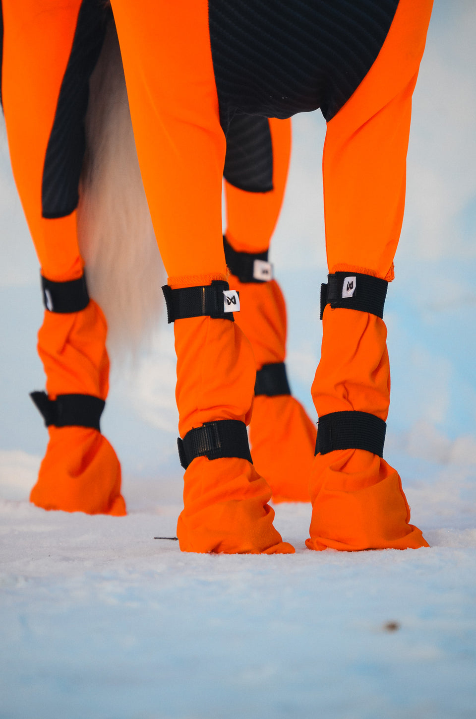 High dog snow booties | Contact bootie high – Non-stop dogwear