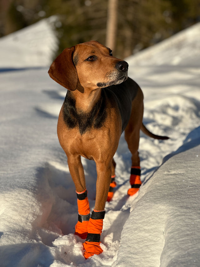 High dog snow booties | Contact bootie high – Non-stop dogwear