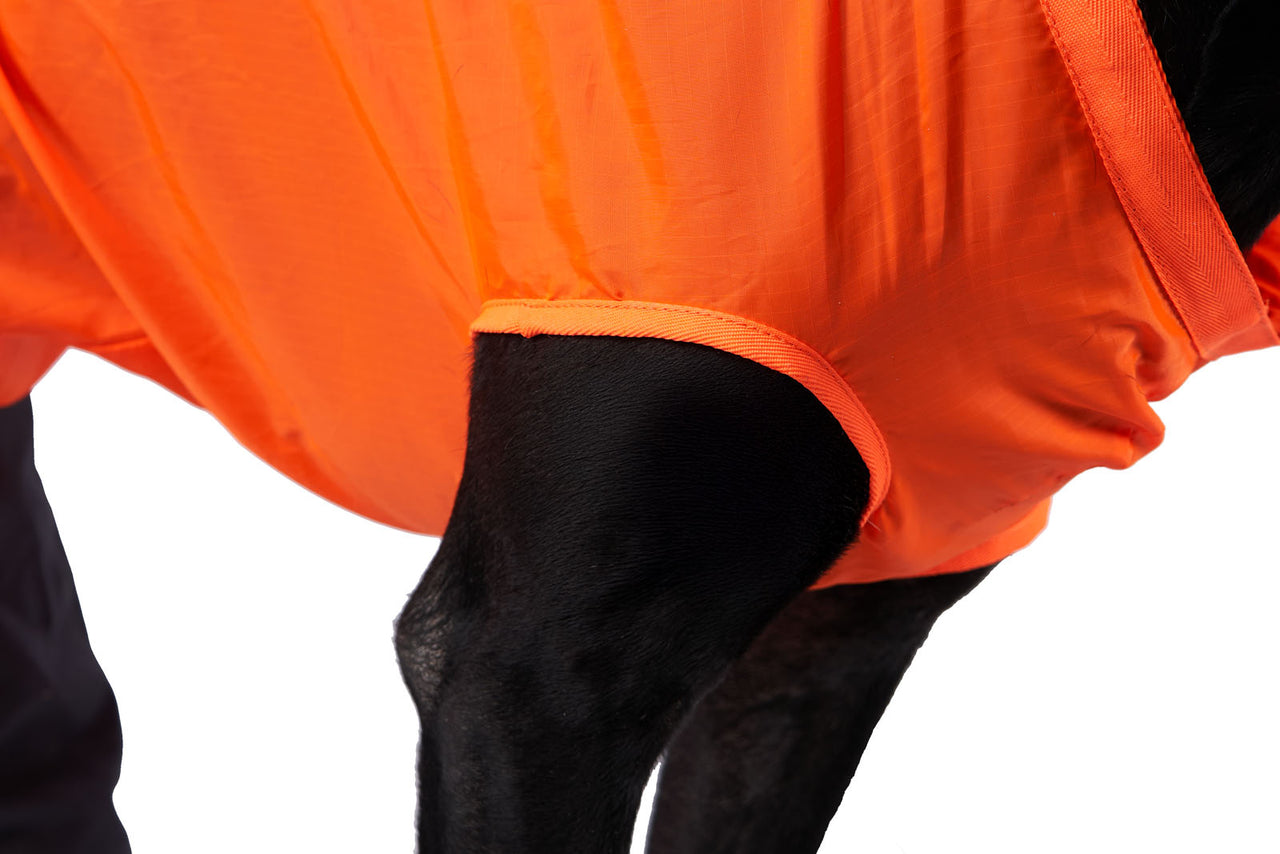 Emergency dog sling | Dog rescue sling – Non-stop dogwear