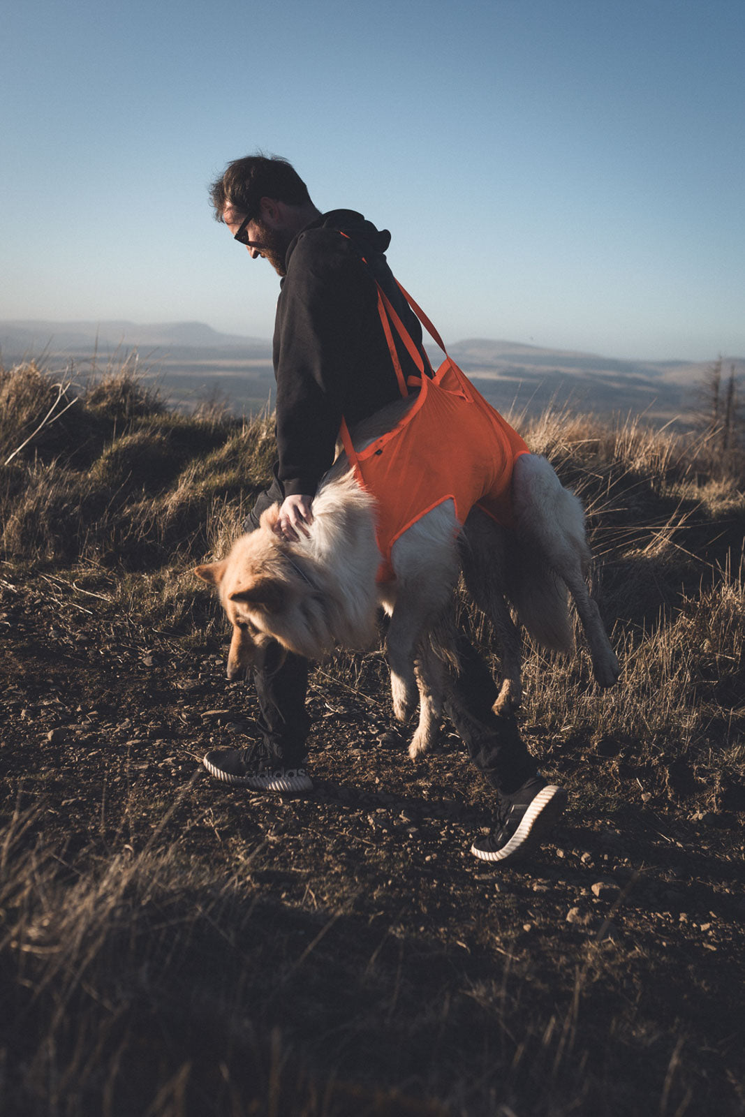 Emergency dog sling | Dog rescue sling – Non-stop dogwear