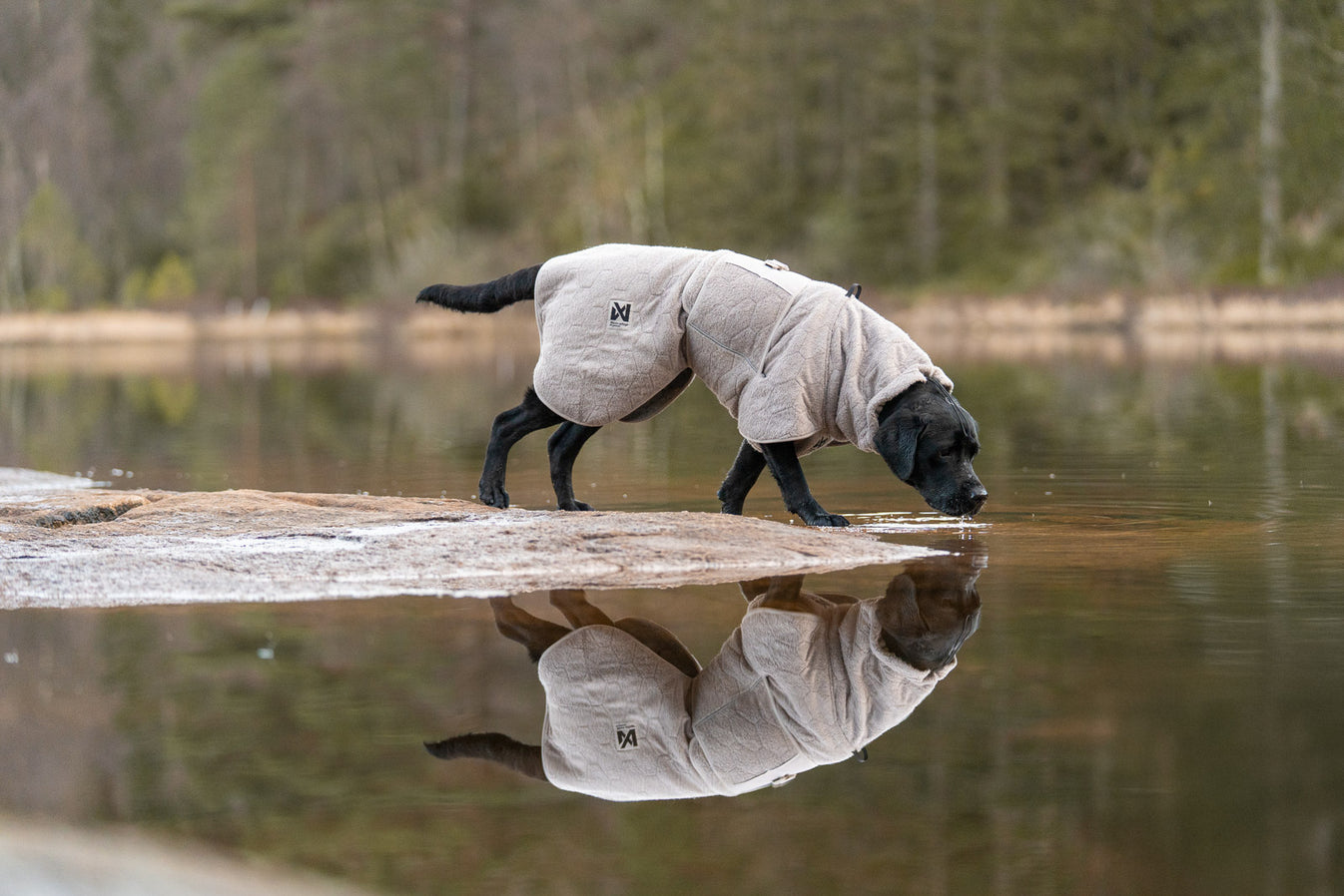 Dog drying coat | Drying coat – Non-stop dogwear