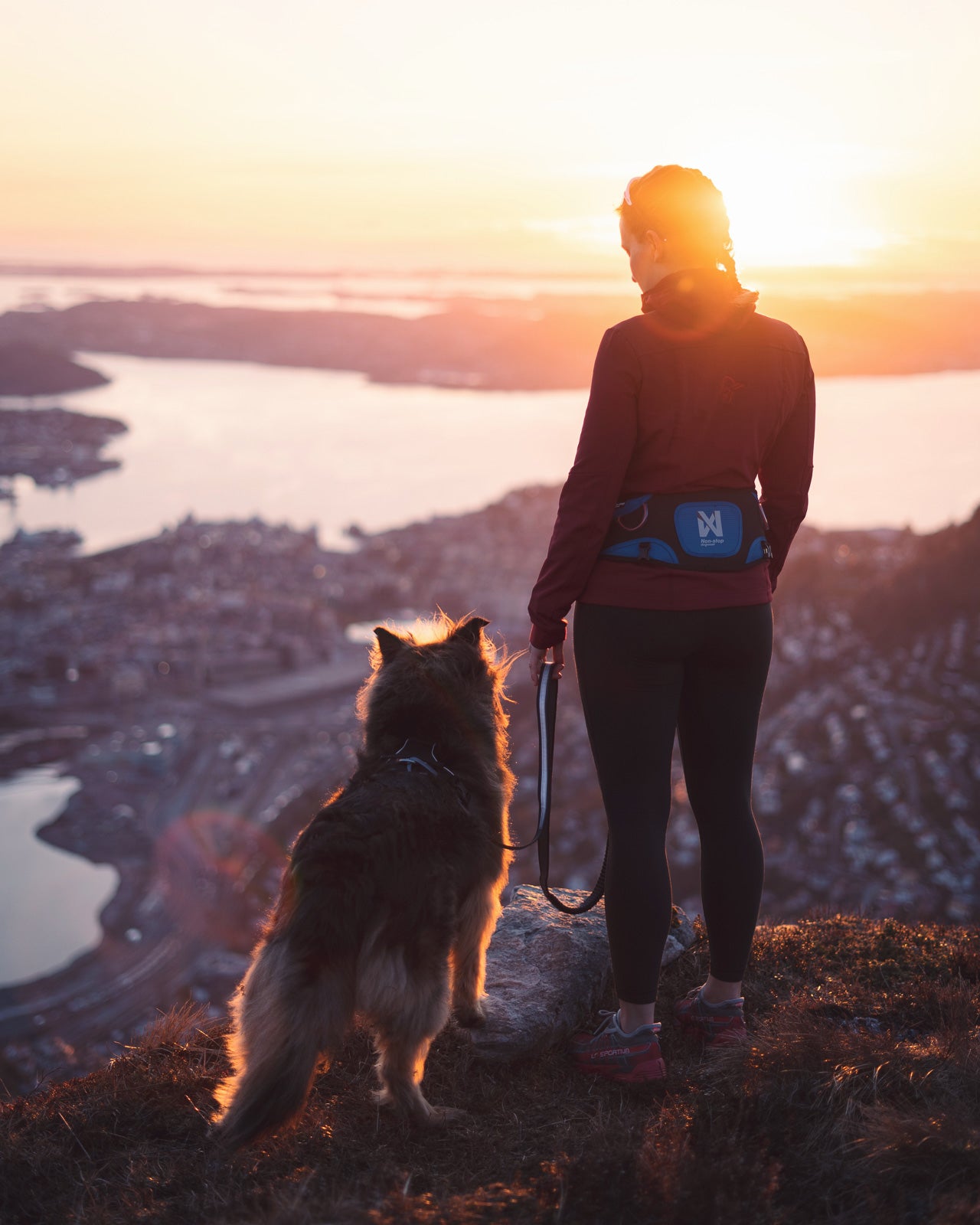 Dog hiking belt | Ferd belt – Non-stop dogwear