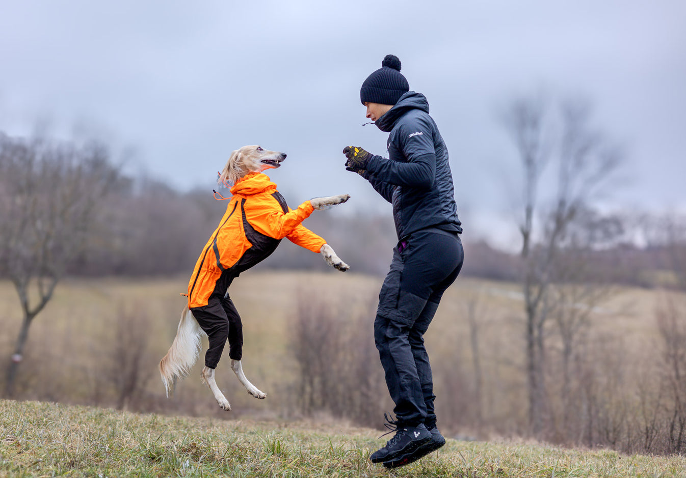 Full-body dog raincoat | Fjord overall raincoat – Non-stop dogwear