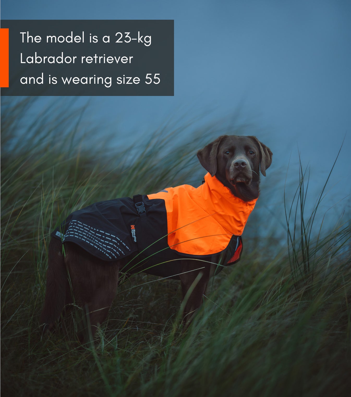 Dog raincoat | Fjord raincoat – Non-stop dogwear
