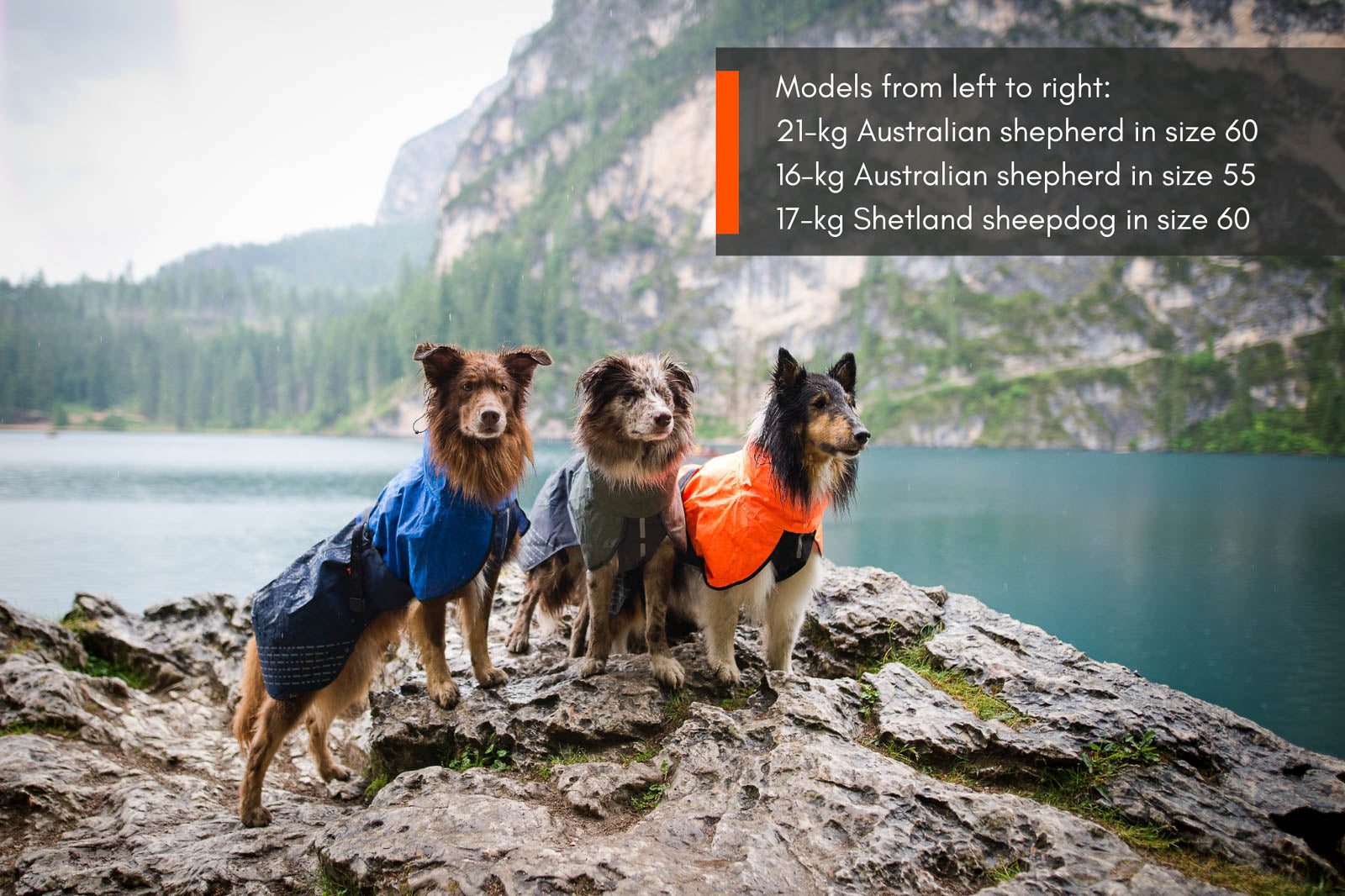 Dog raincoat | Fjord raincoat – Non-stop dogwear