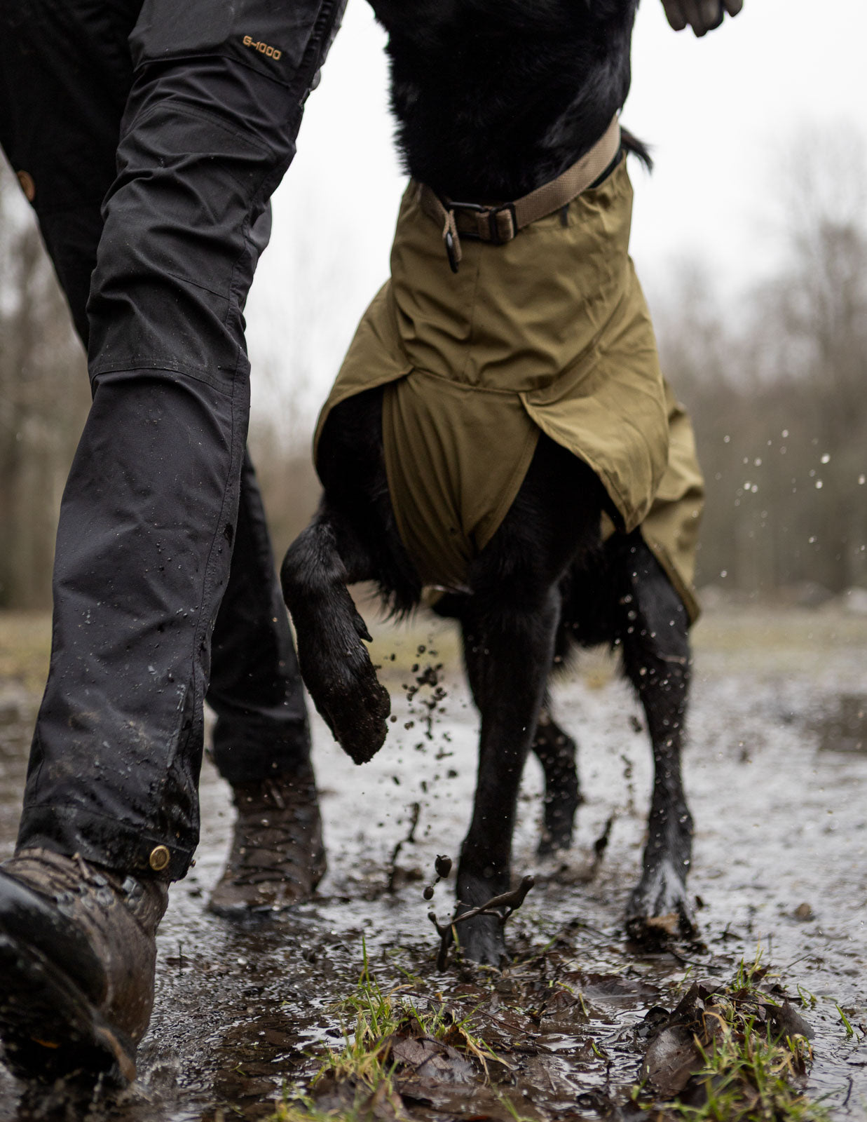 Working dog raincoat | Fjord raincoat WD – Non-stop dogwear