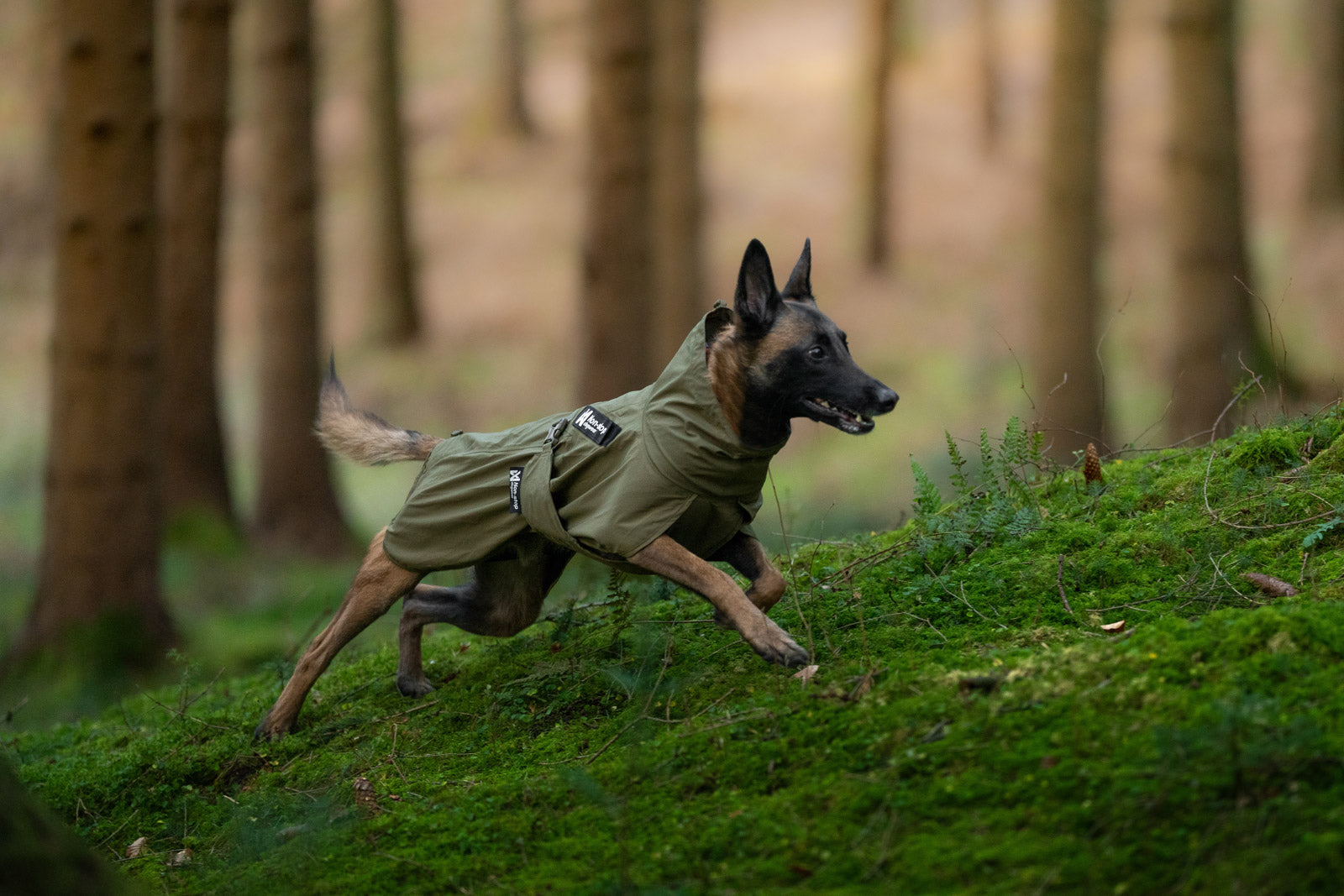 Working dog raincoat | Fjord raincoat WD – Non-stop dogwear
