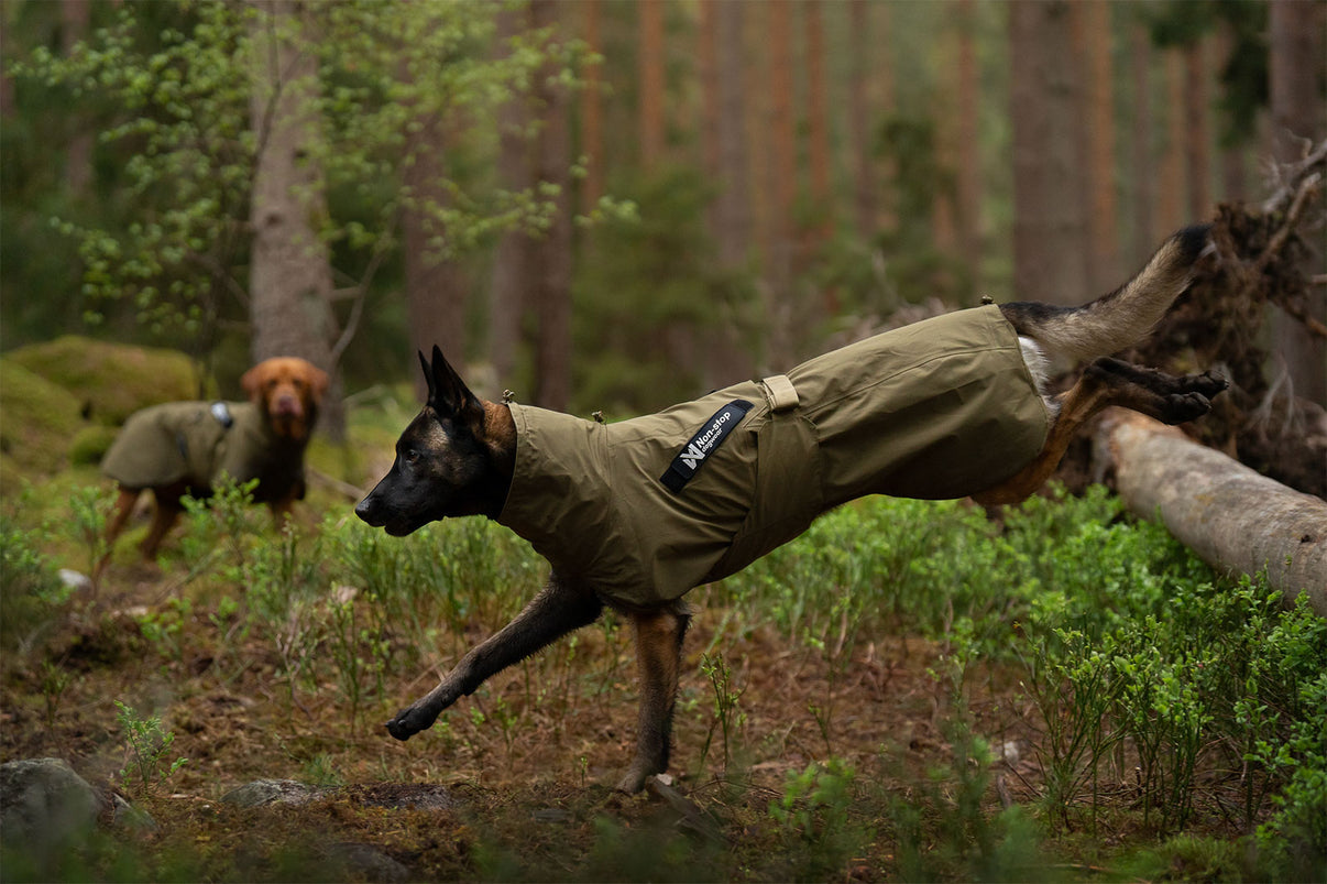 Working dog raincoat | Fjord raincoat WD – Non-stop dogwear