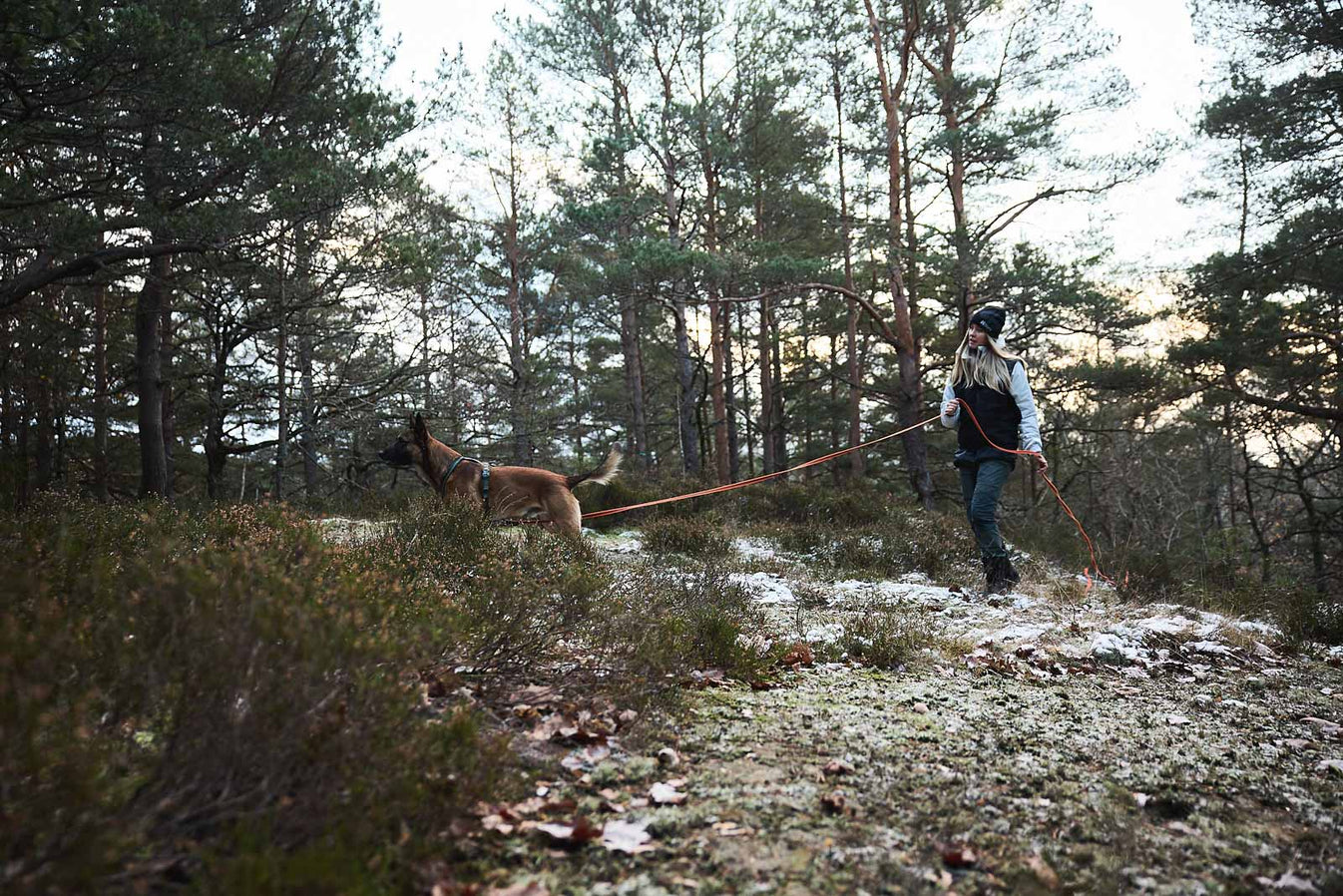 Dog long line | Friction long line – Non-stop dogwear