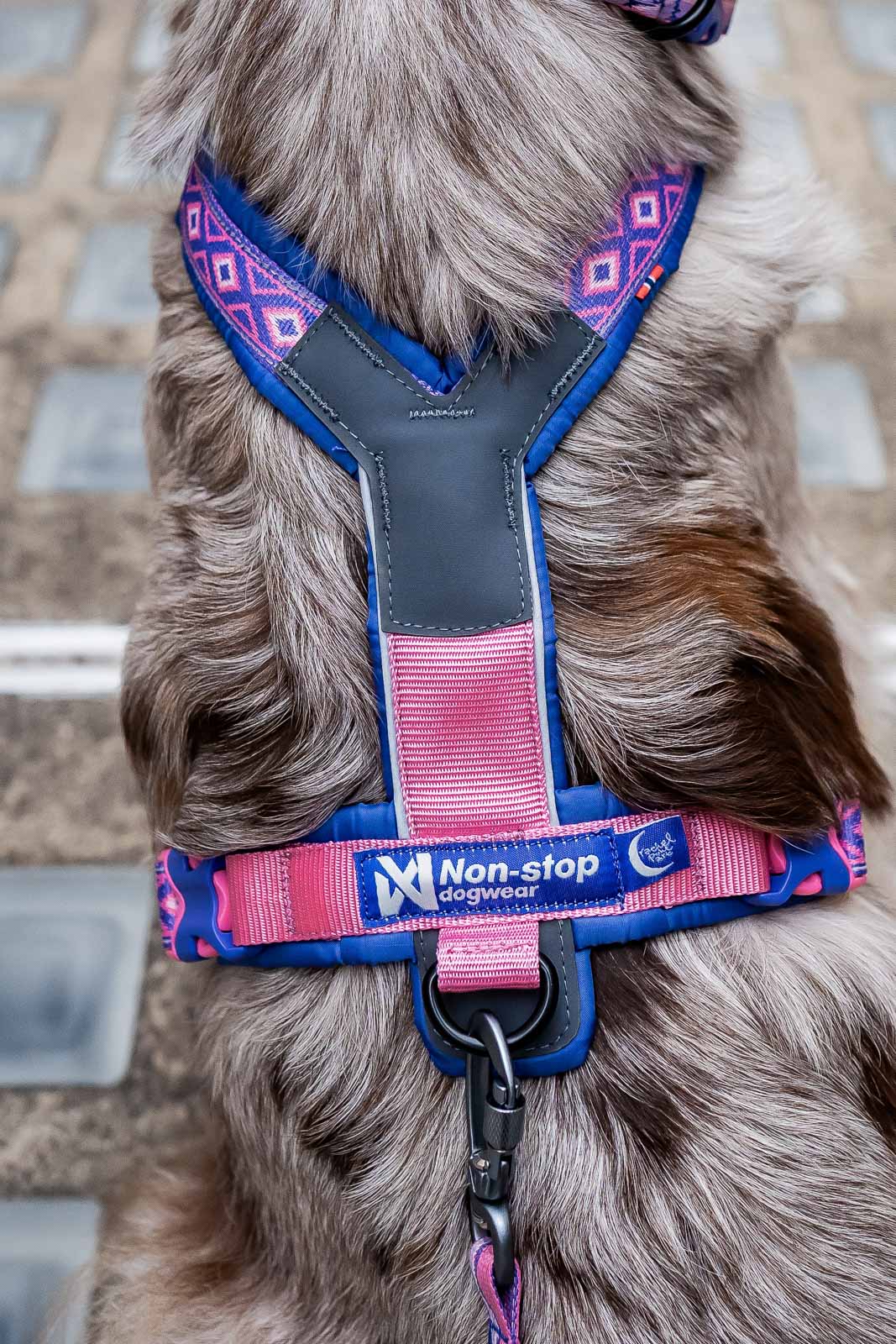Padded dog harness | Line harness 5.0 Rachel Pohl edition – Non-stop ...