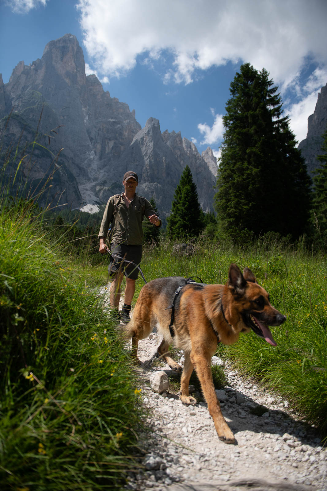 Dog harness with handle | Line harness grip – Non-stop dogwear