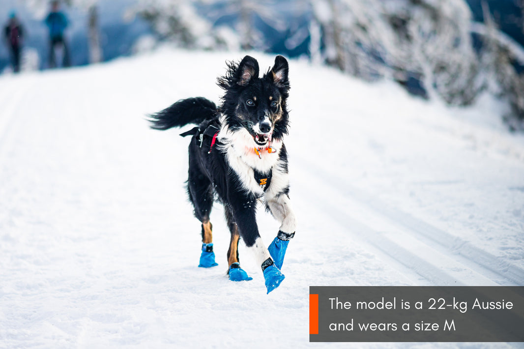 Dog mushing gear | Equipment for sled dogs and mushers – Non-stop dogwear