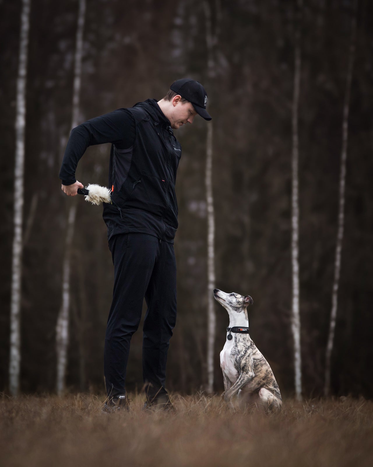 Dog trainer’s vest | Obedience vest men’s – Non-stop dogwear