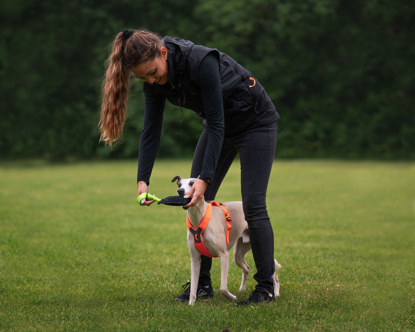 Dog trainer’s vest | Obedience vest women’s – Non-stop dogwear