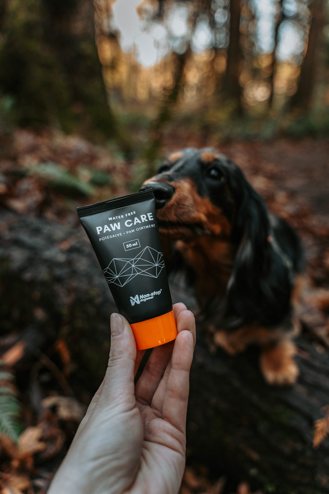 Paw healing dog ointment | Paw care – Non-stop dogwear