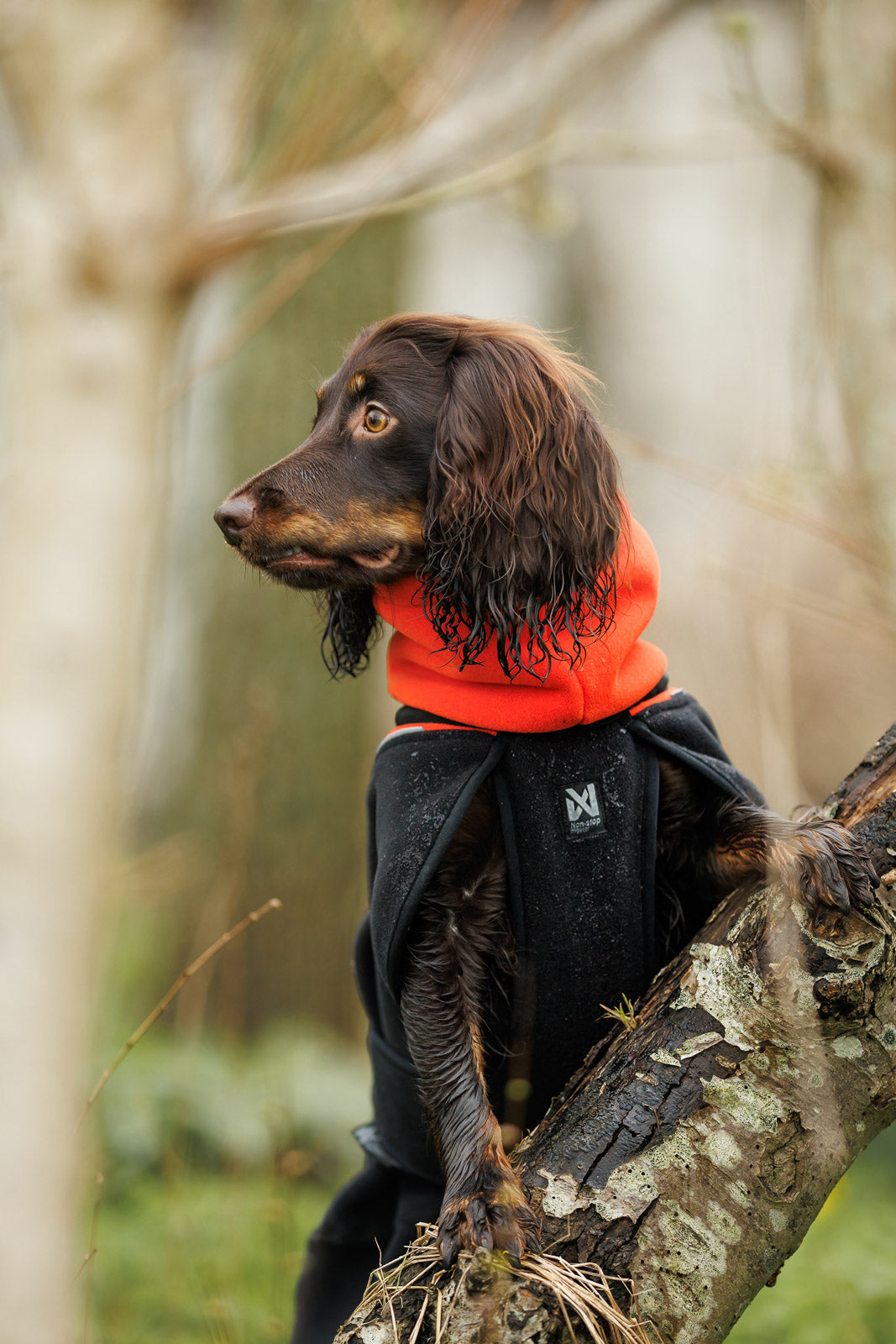 Dog fleece jacket | Phoenix dog jacket – Non-stop dogwear
