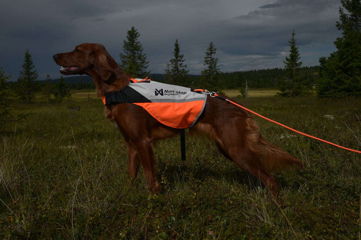 Hi-vis dog vest | Protector cover 2.0 – Non-stop dogwear