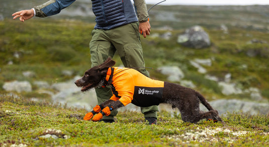 Anti-chafing dog t-shirt | Protector half-suit – Non-stop dogwear