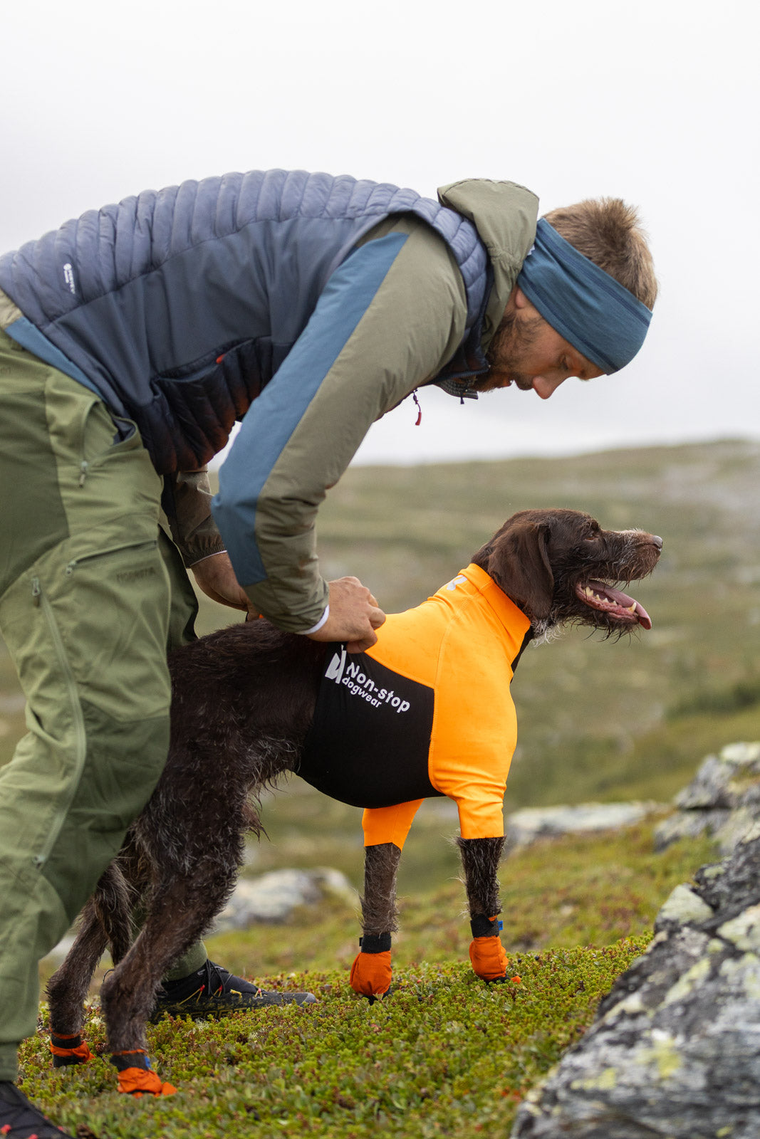 Anti-chafing dog t-shirt | Protector half-suit – Non-stop dogwear