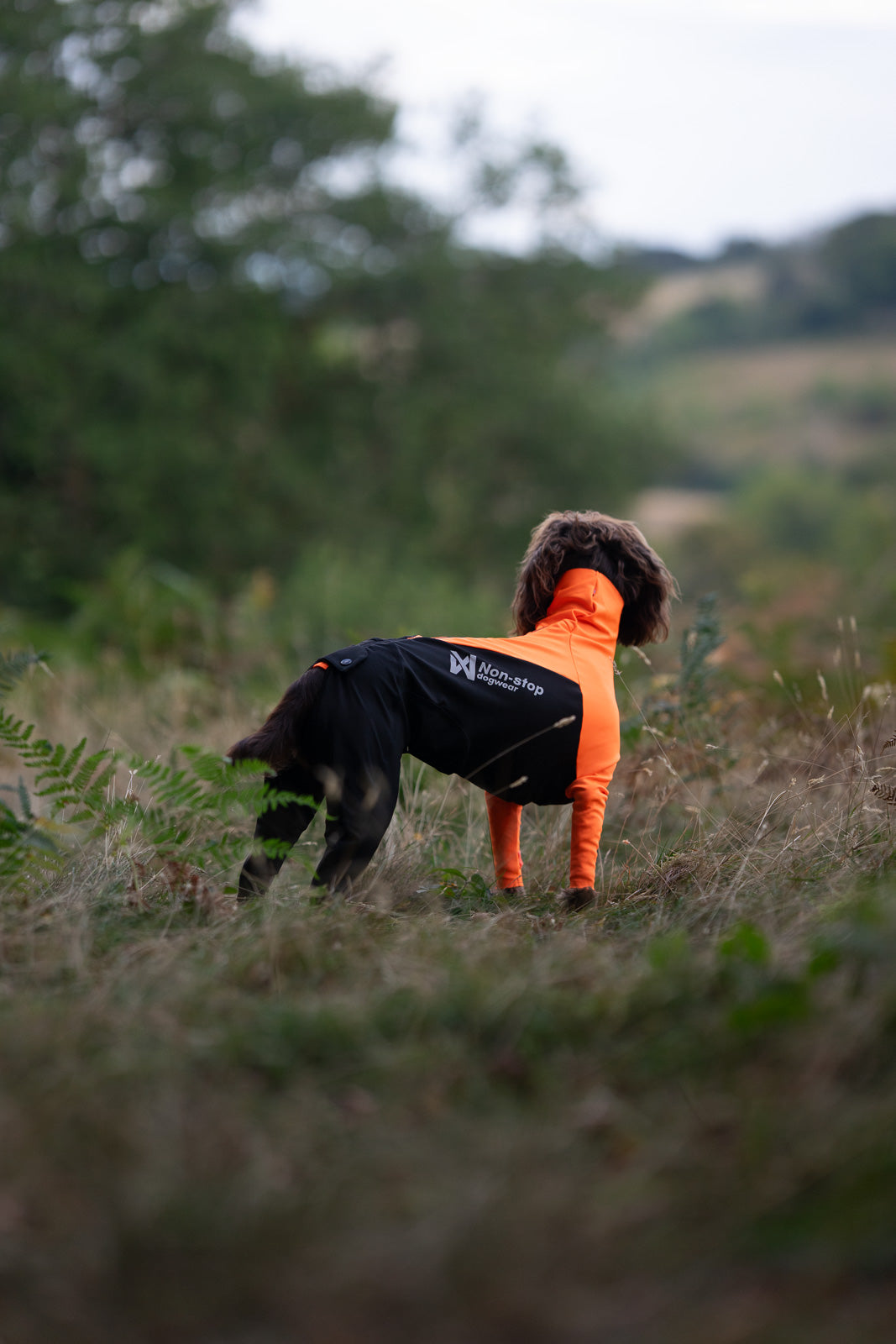 Full-body dog suit | Protector suit female – Non-stop dogwear