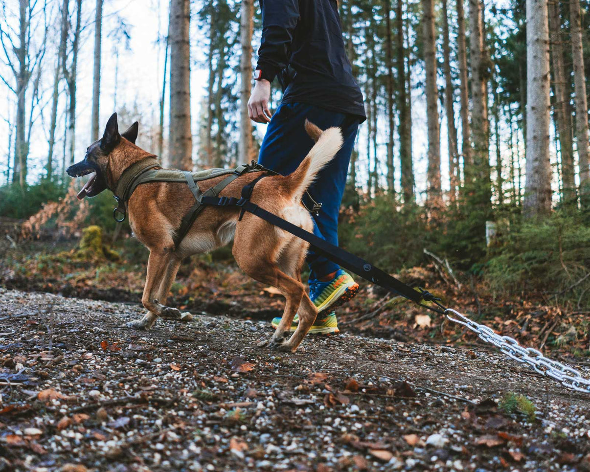Working dog harness attachment | Pulling attachment WD – Non-stop dogwear