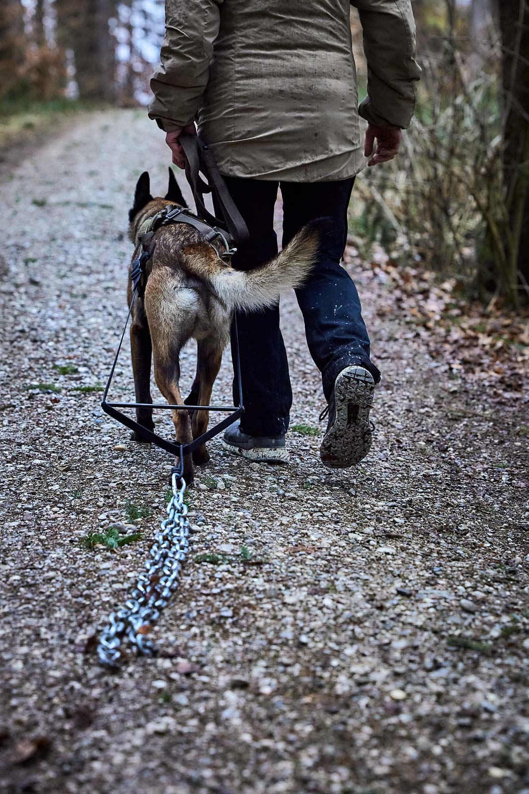 Working dog harness attachment | Pulling attachment WD – Non-stop dogwear