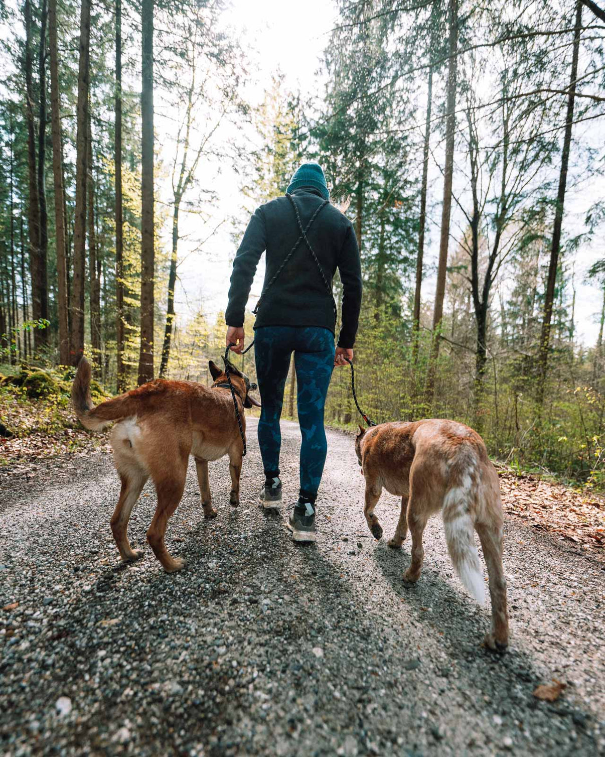 Multifunctional rope leash | Rock adjustable leash – Non-stop dogwear
