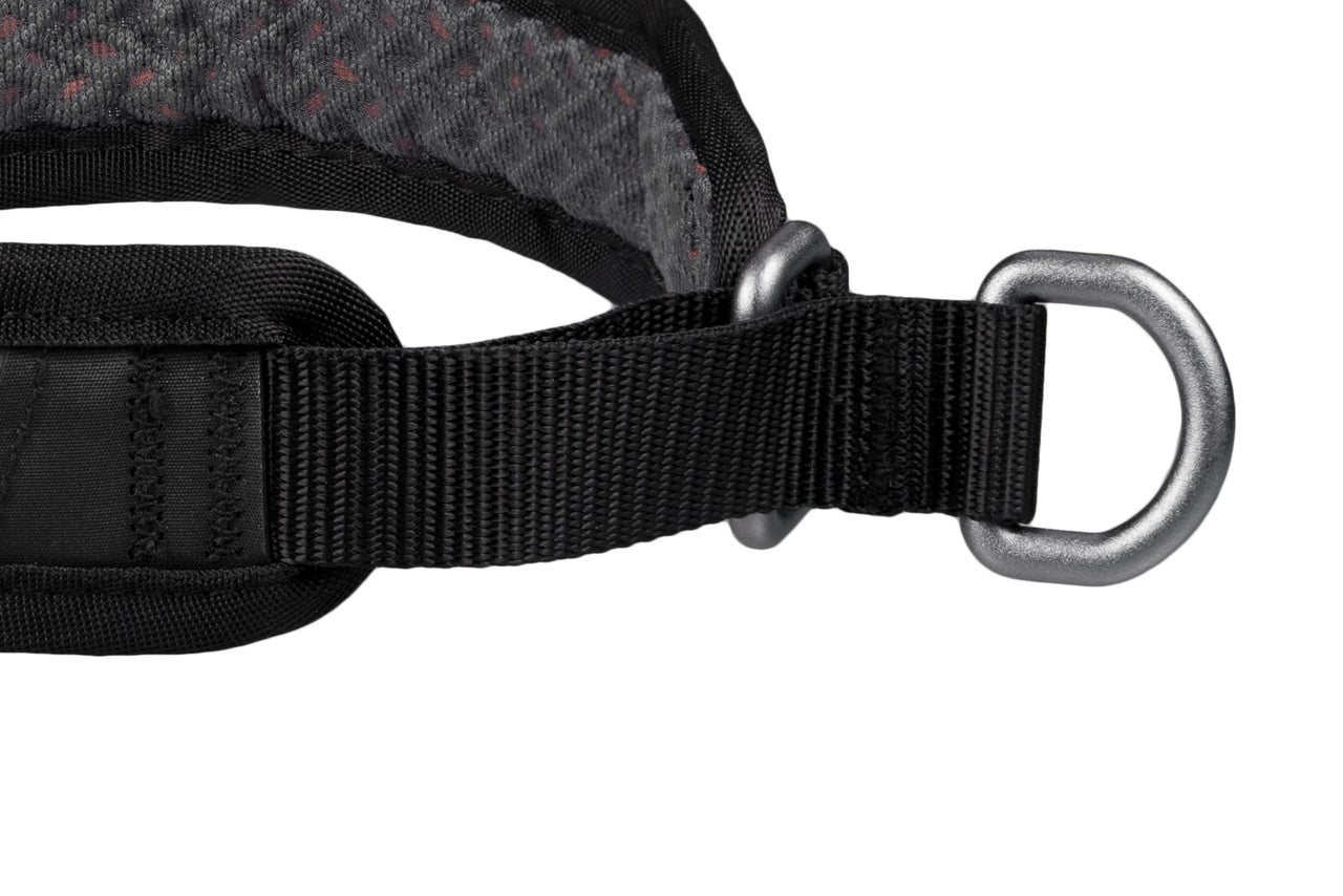 Sport dog collar | Rock collar 3.0 – Non-stop dogwear
