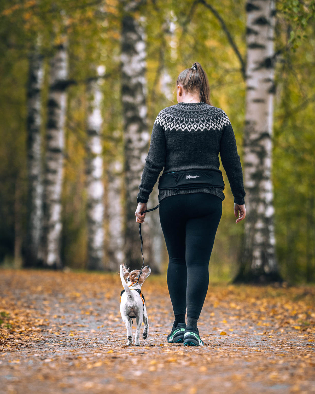 Dog walking belt | Rush belt – Non-stop dogwear