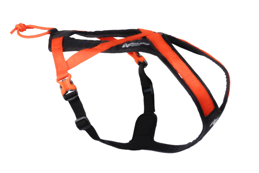 Dog harnesses | Dog harness for running and hiking – Non-stop dogwear