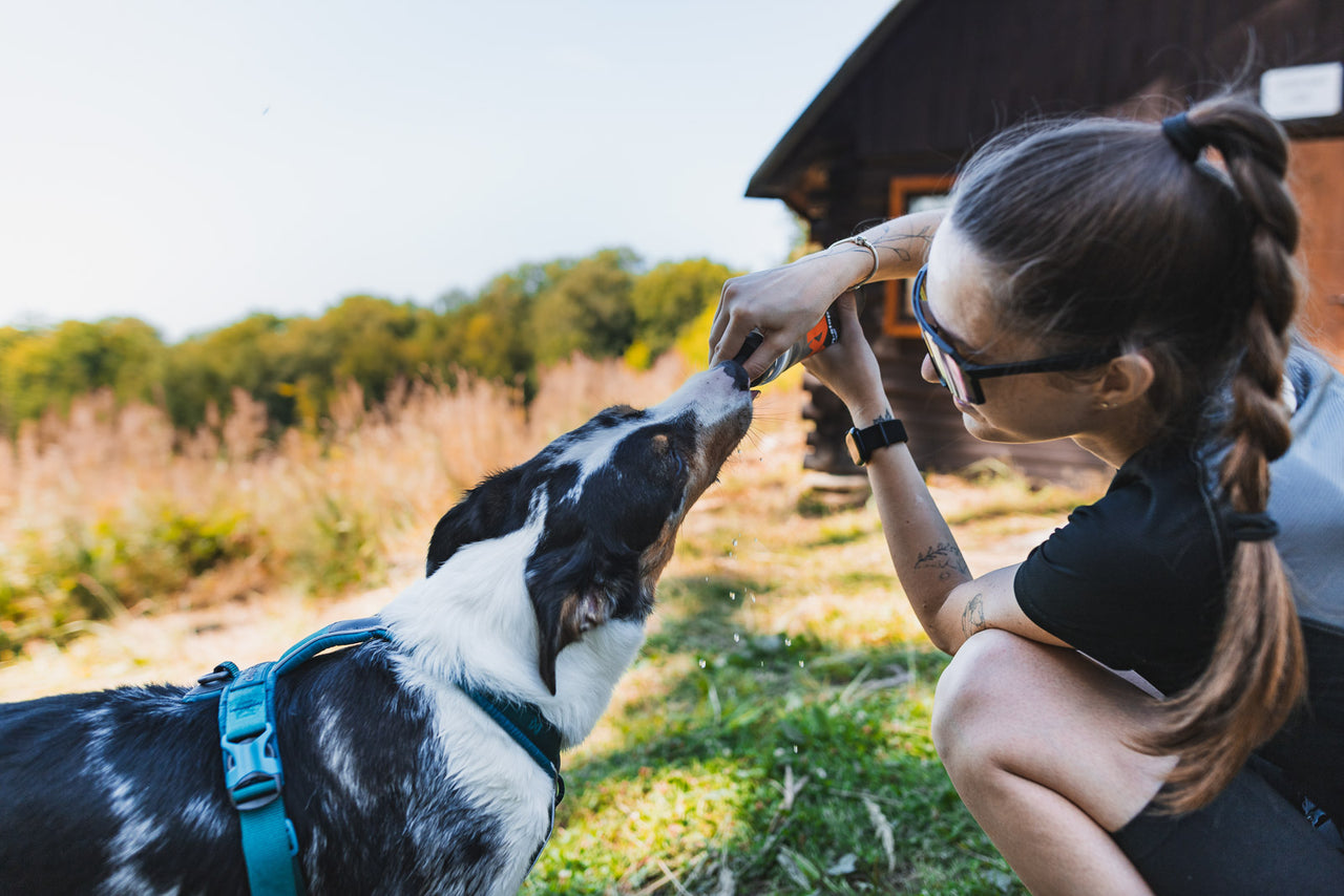 Durable soft flask | NS Softflask 500 ml – Non-stop dogwear