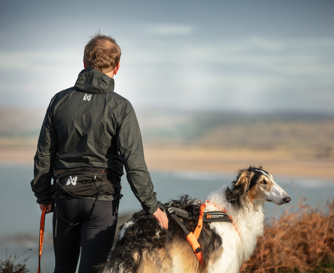 Trail-Laufgurt | Trail light belt – Non-stop dogwear