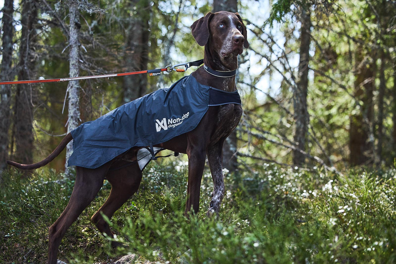 Lightweight dog jacket | Trail light dog jacket – Non-stop dogwear