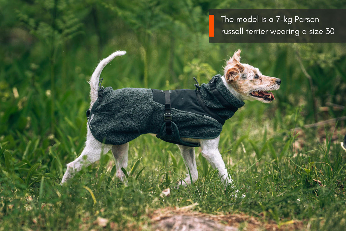 Durable merino dog jacket | Wool dog jacket – Non-stop dogwear