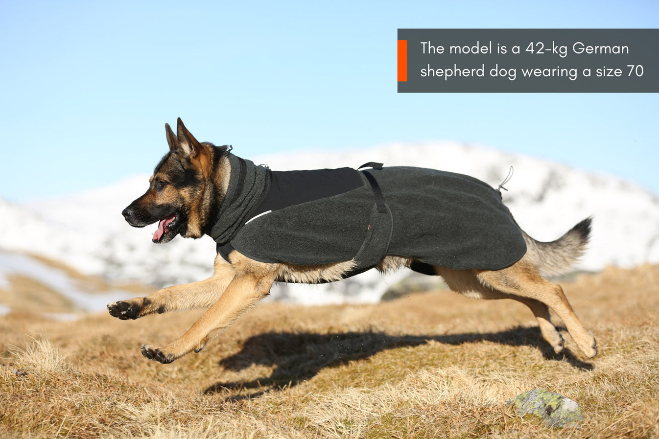 Durable merino dog jacket | Wool dog jacket – Non-stop dogwear