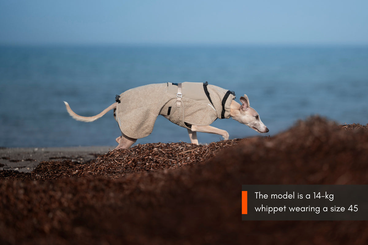 Durable merino dog jacket | Wool dog jacket – Non-stop dogwear